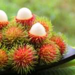 Beyond Mango and Papaya: Tropical Fruits You’ve Never Tried