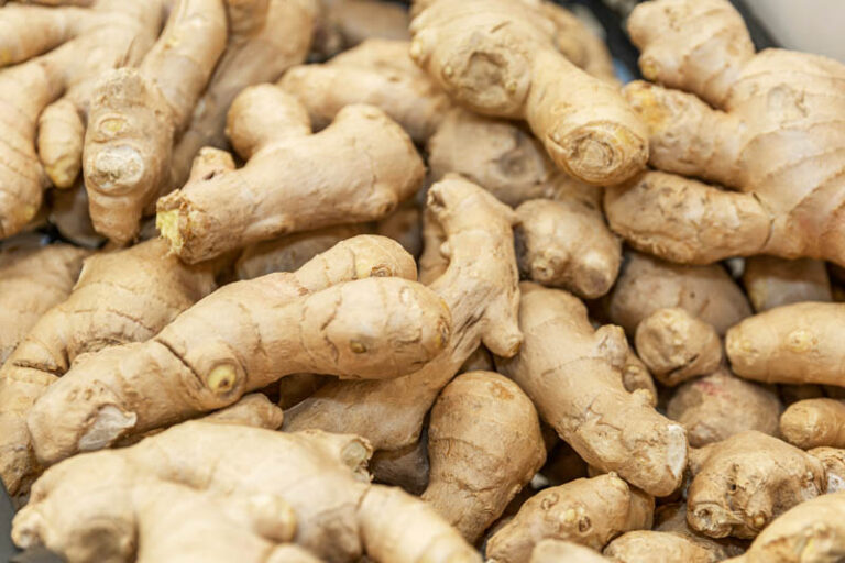 Fun Facts About Ginger