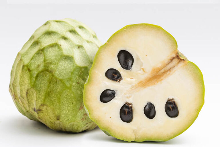 Cherimoya or Custard Apple: Health Benefits, Uses, Growing Tips