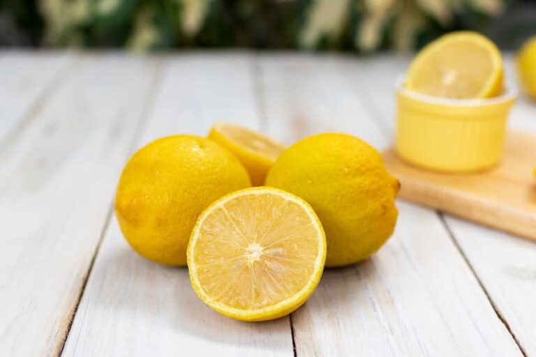 Lemon Fun Facts: Zesty Truths About This Bright Citrus