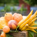 Lemon (Citrus x limon): Health Benefits, Uses, Growing Tips