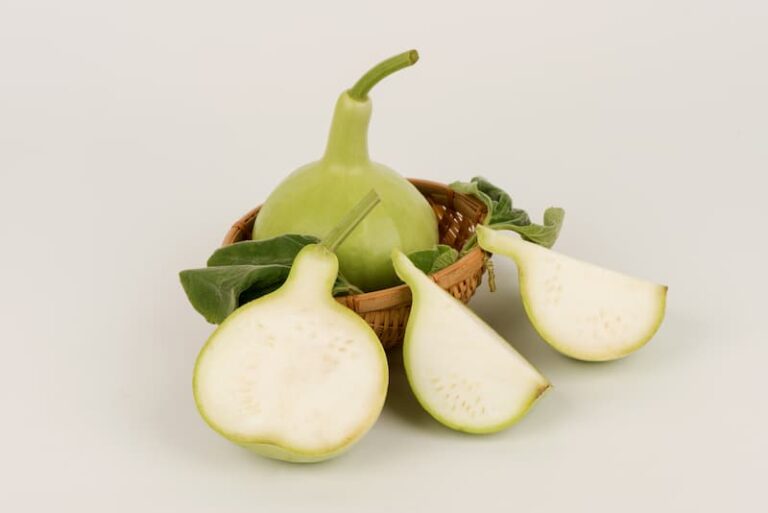 Calabash: Health Benefits, Uses, Growing Tips