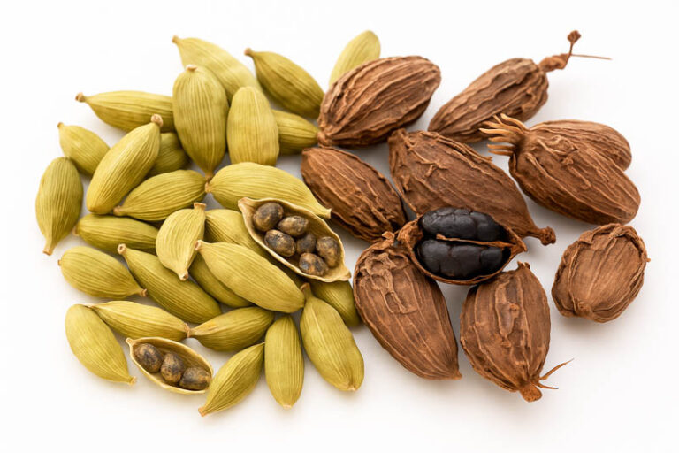 Cardamom: Health Benefits, Side Effects, Uses, Growing Tips