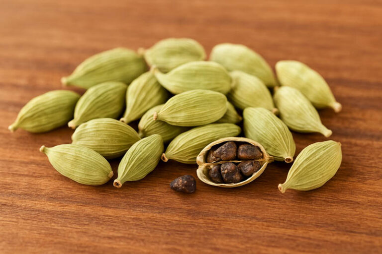 Cardamom: Health Benefits, Side Effects, Uses, Growing Tips