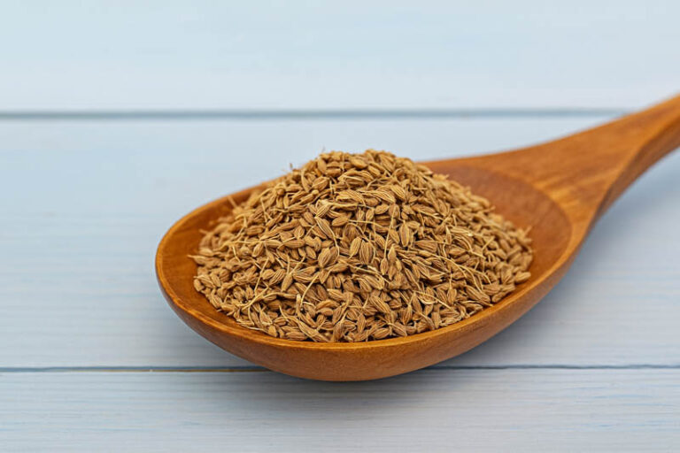 Anise (Pimpinella anisum): Benefits, Uses, and Growing Tips