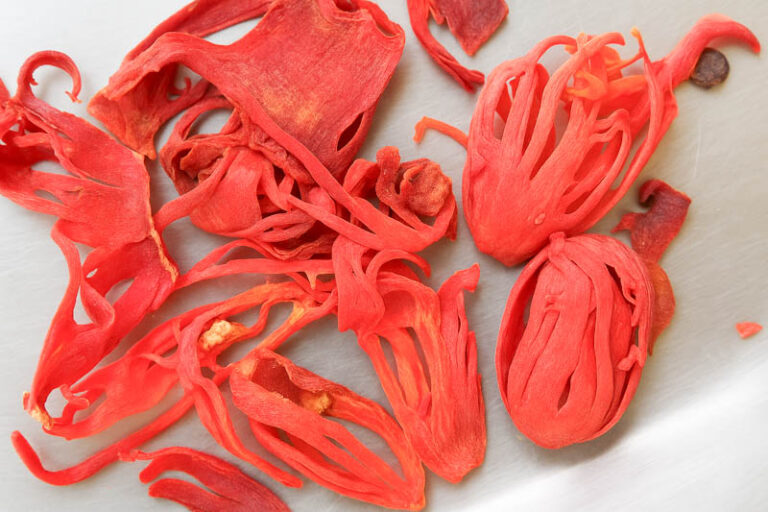 Nutmeg: Health Benefits, Side Effects, Uses, Growing Tips