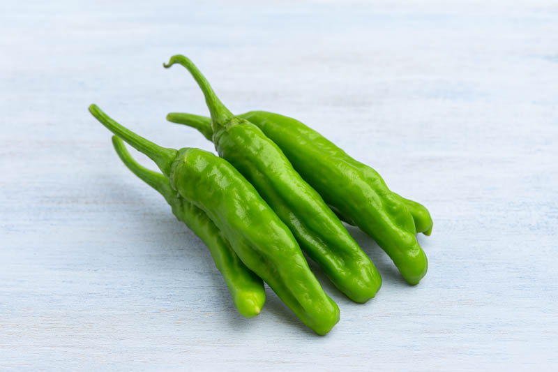 Shishito Peppers: Benefits, Side Effects, Uses, Growing Tips