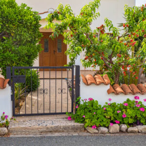 Recommended Native Deciduous Trees for Georgia