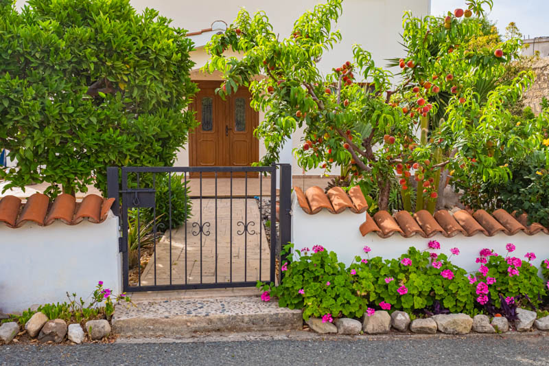 Peaches: Benefits, Uses, Varieties, and Growing Tips