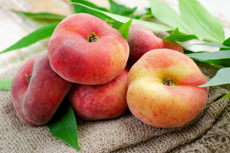White Peach Varieties for Every Climate