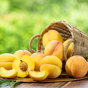 Recommended Native Deciduous Trees for Georgia