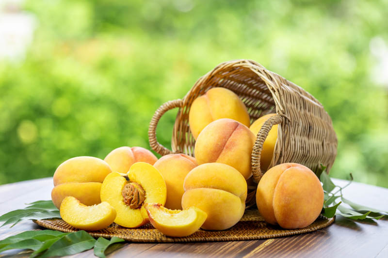 Yellow Peach Varieties for Every Climate