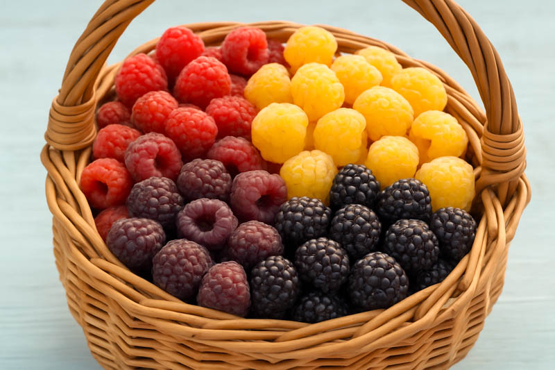 Raspberry (Rubus idaeus): Benefits, Uses, Varieties, Growing Tips