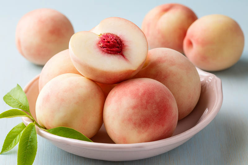 White Peach Varieties for Every Climate