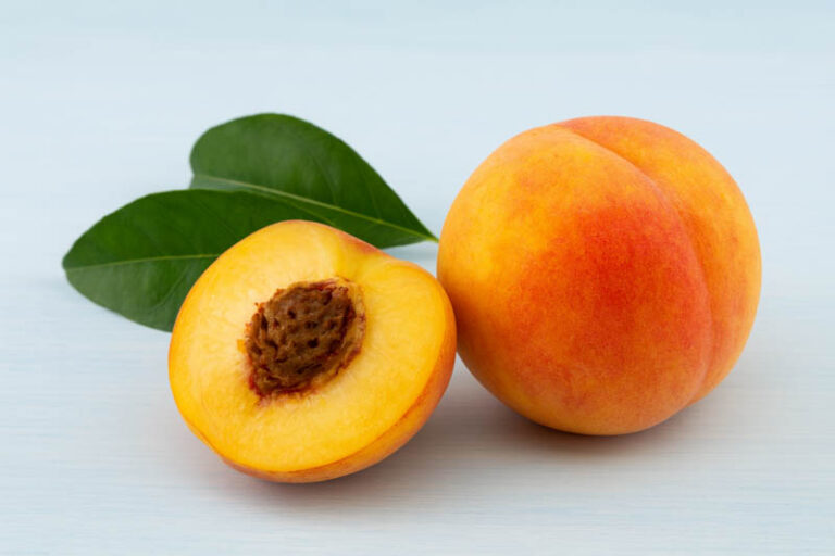 Yellow Peach Varieties for Every Climate