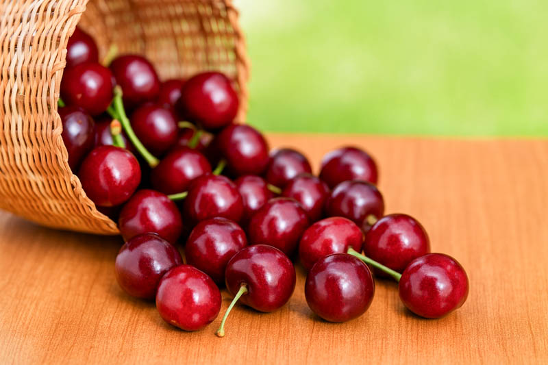 Cherry Types Guide: From Cherry Blossom to Cherry Pie