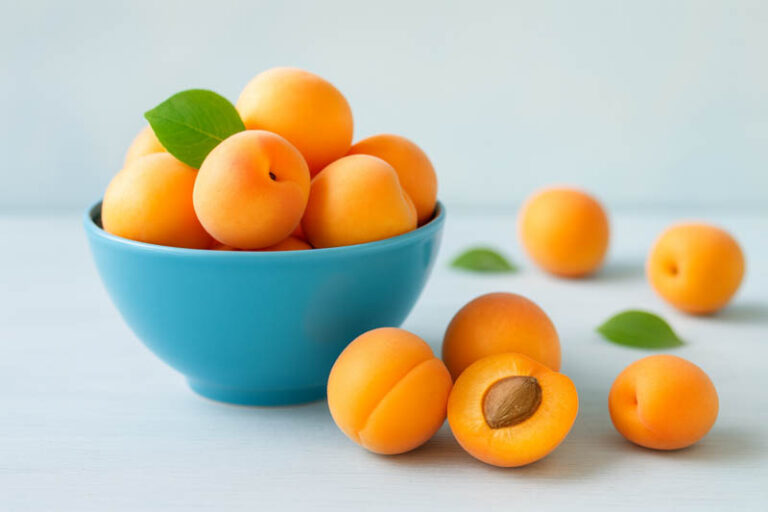 Apricot (Prunus armeniaca): Benefits, Uses, Varieties, Growing Tips