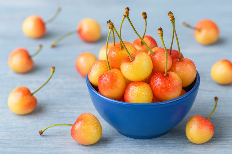 Rainier Cherries (Prunus avium): Taste, Season & Care