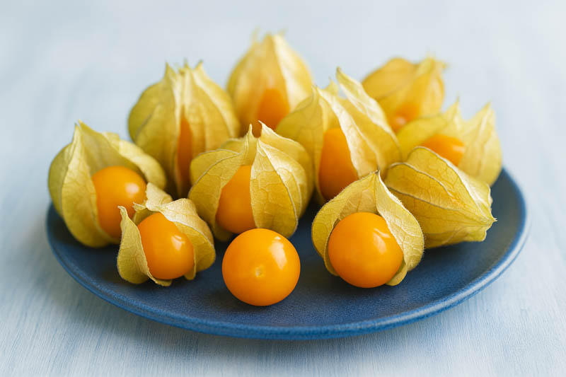 Cape Gooseberry (Physalis peruviana): Grow, Care, & Fruit Guide