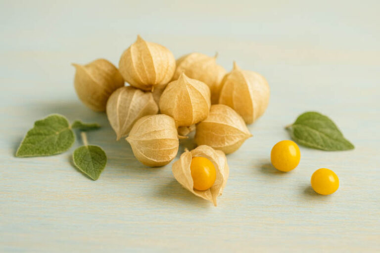 Ground Cherry (Physalis pruinosa): Grow, Care, & Fruit Guide