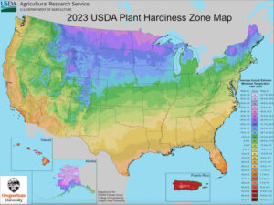 USDA Planting Zones Guide: Growing Zones for the United States
