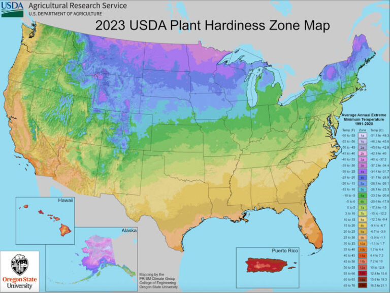 USDA Planting Zones Guide: Growing Zones for the United States