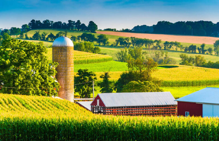 Pennsylvania Planting Zones - Growing Zones Guide