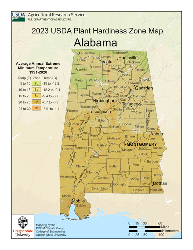 Alabama Planting Zones - Growing Zones Guide