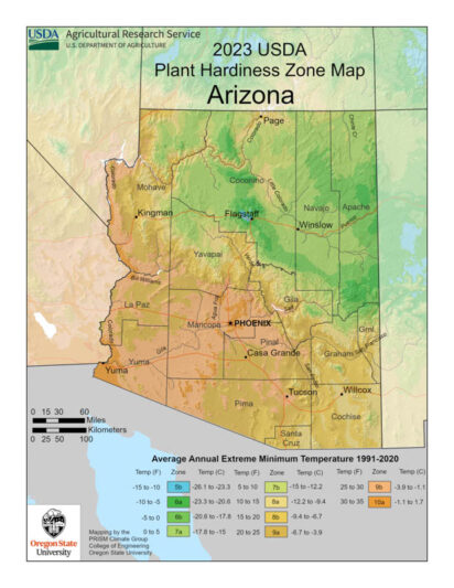 Arizona Planting Zones - Growing Zones Guide