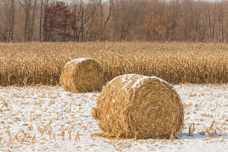 Indiana Planting Zones - Growing Zones Guide