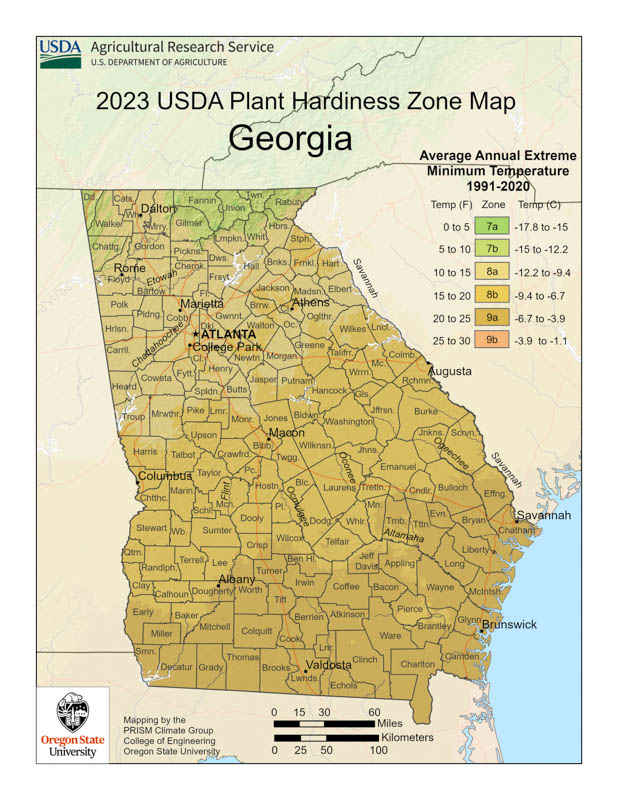 Georgia Planting Zones - Growing Zones Guide