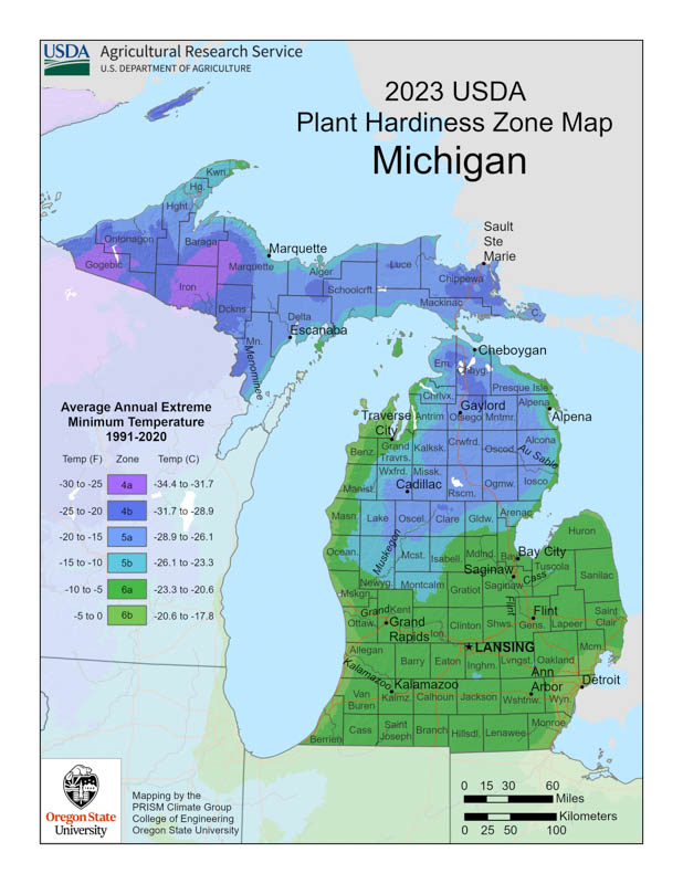 Michigan Planting Zones - Growing Zones Guide