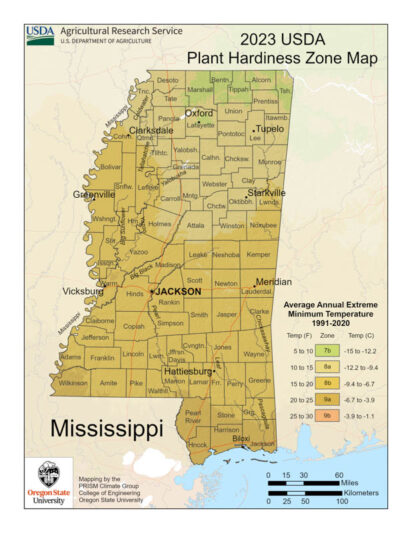 Mississippi Planting Zones - Growing Zones Guide
