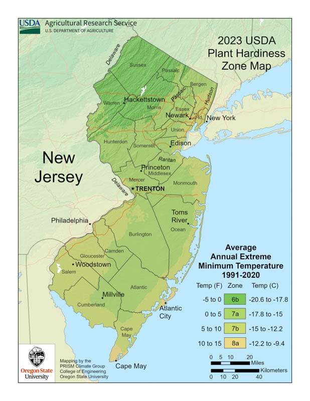 New Jersey Planting Zones - Growing Zones Guide