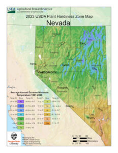 Nevada Planting Zones - Growing Zones Guide