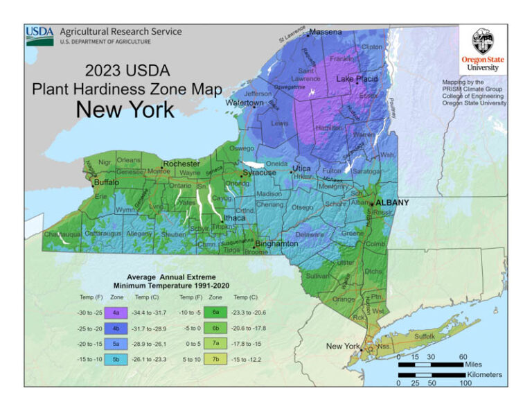 New York Planting Zones - Growing Zones Guide