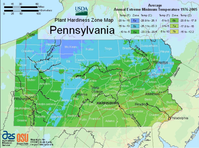 Pennsylvania Planting Zones - Growing Zones Guide