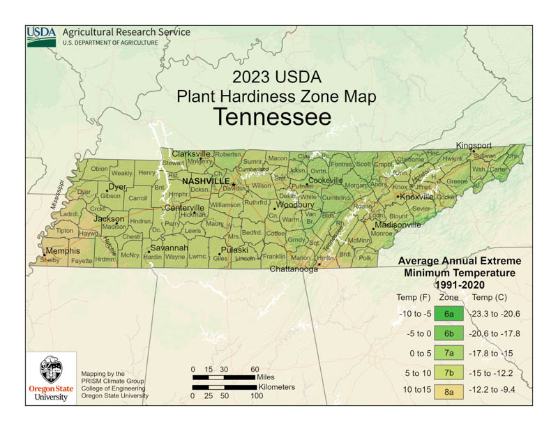 Tennessee Planting Zones - Growing Zones Guide