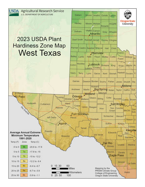 Texas Planting Zones - Growing Zones Guide