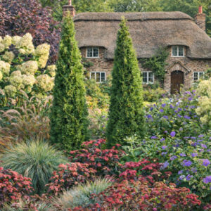 Arizona Cypress (Cupressus arizonica): All You Need To Know