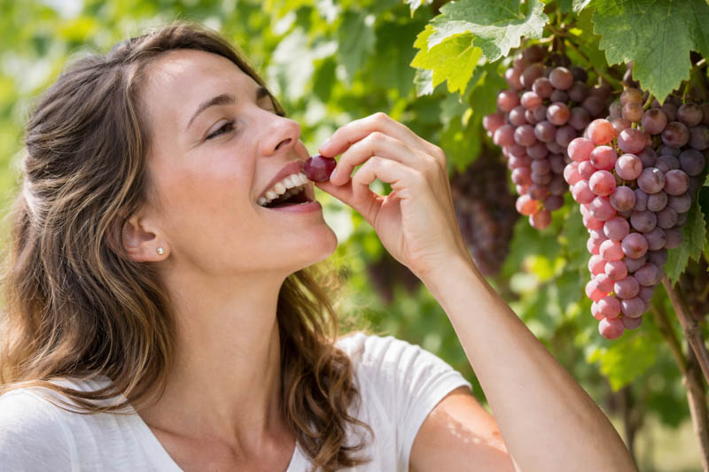 Best Grapes for Fresh Eating - Top Varieties Ranked